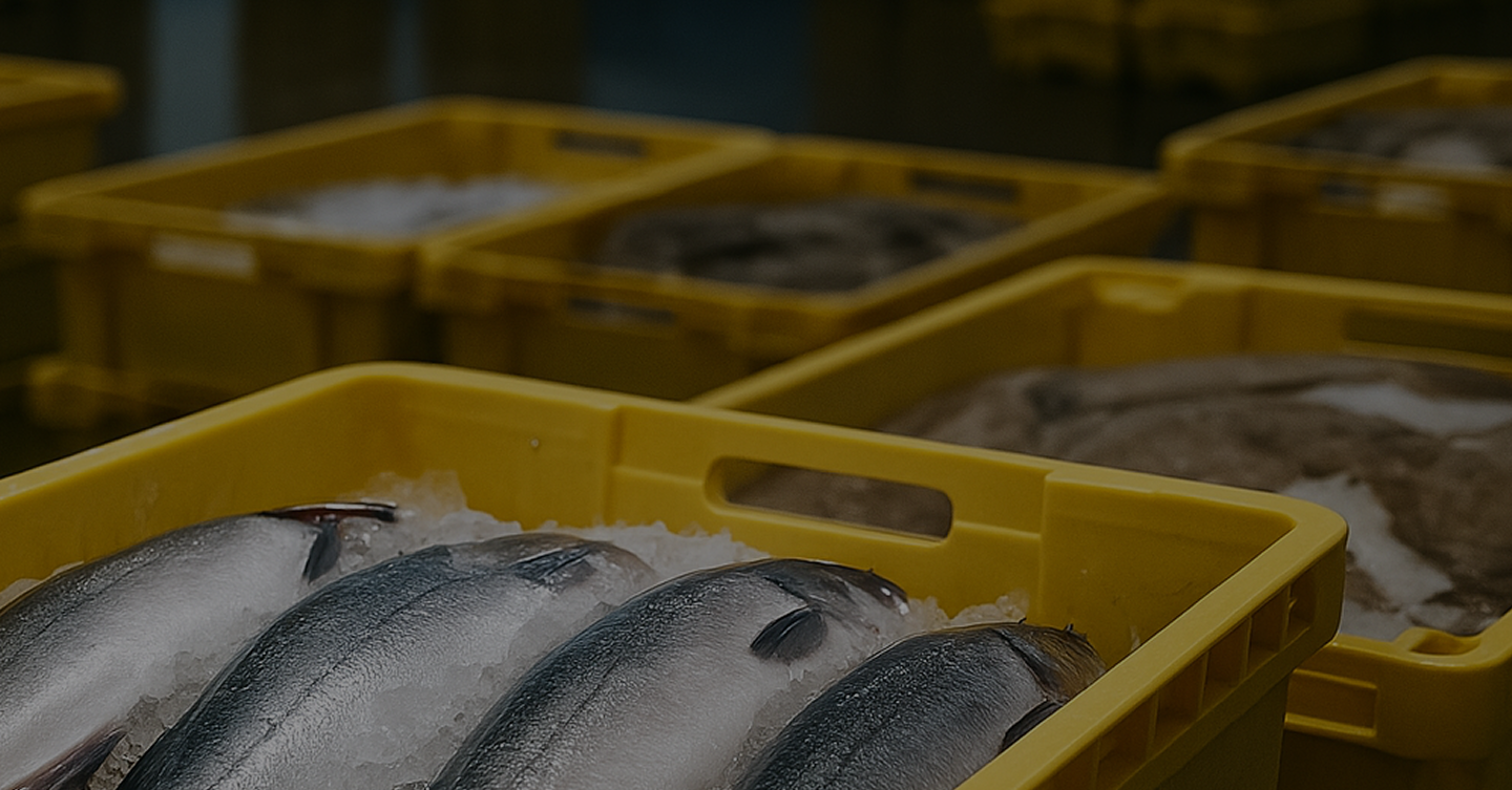 Home | Flowfish | Flowfish